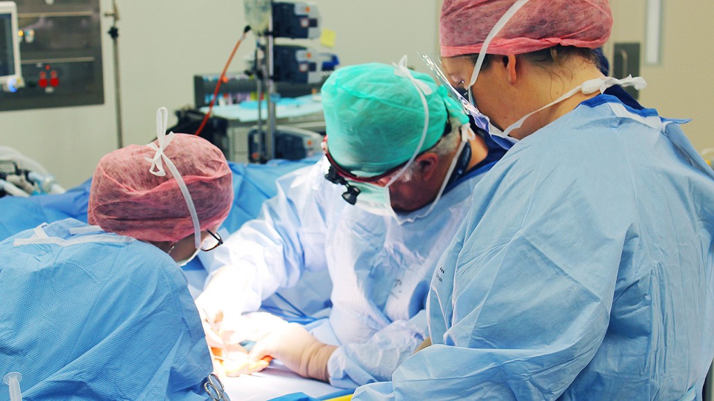 swans_feature - Research Impact at UWA