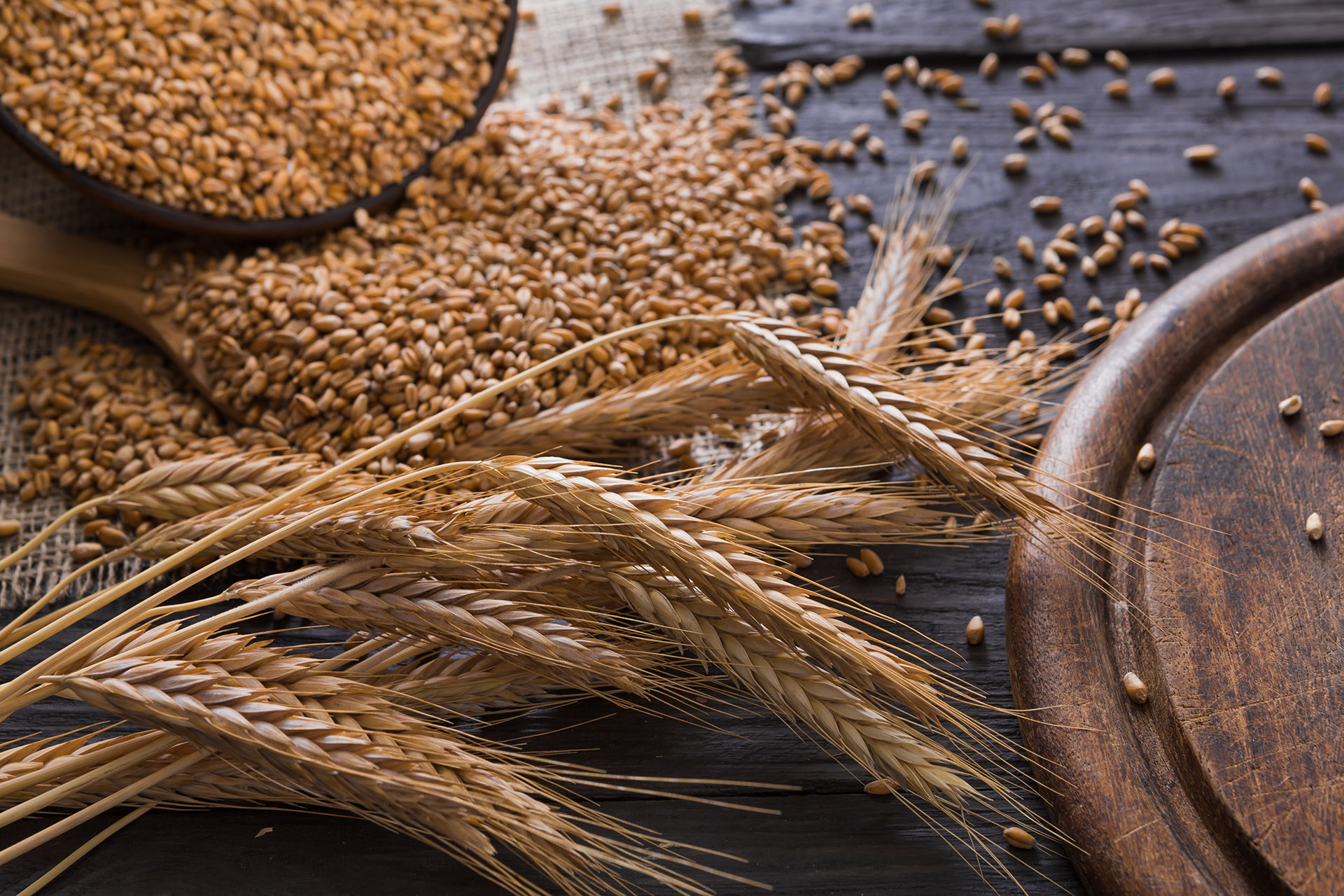 Folate fortification reduces neural tube defects - Research Impact at UWA